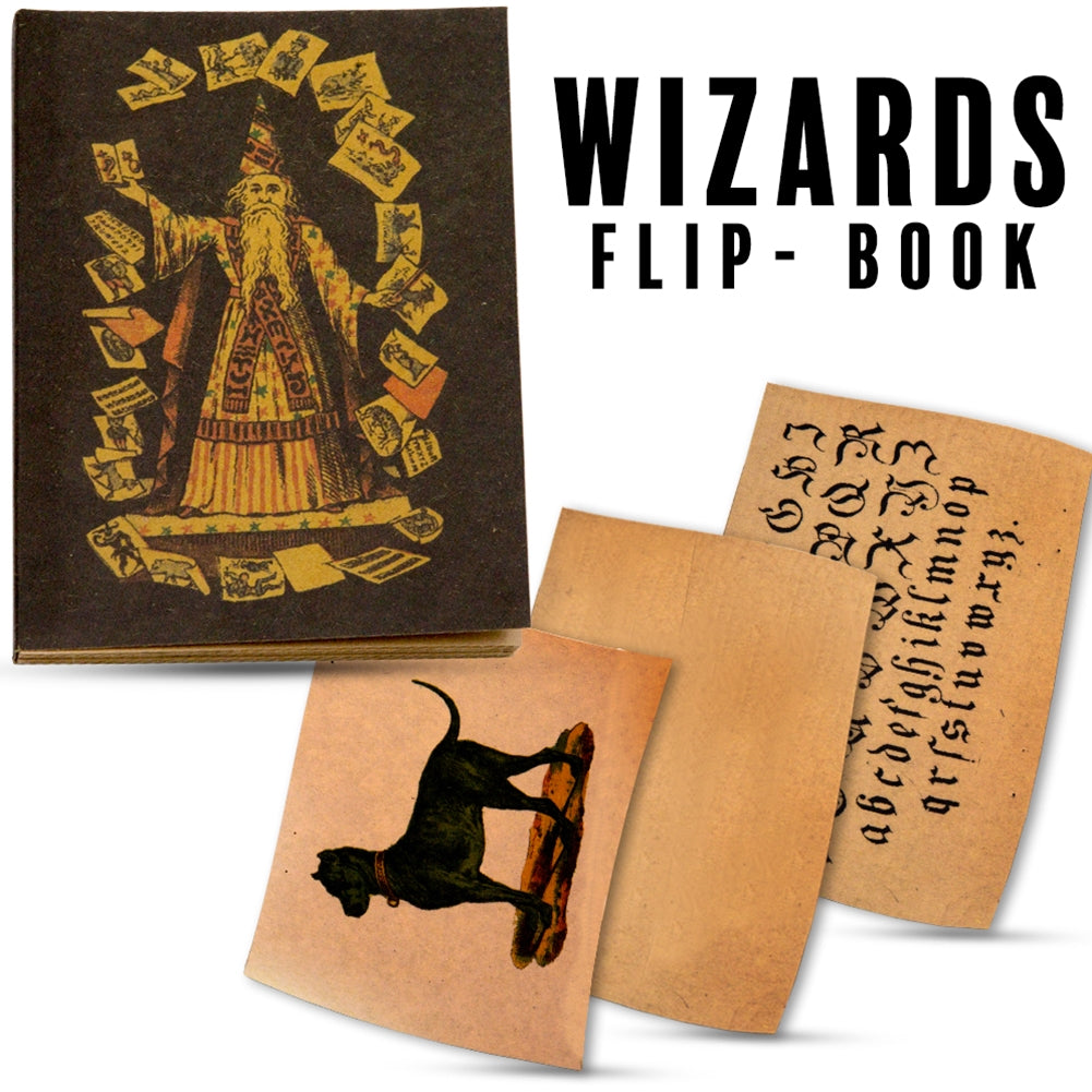 Wizard's Flip Book – Eagle Magic Store